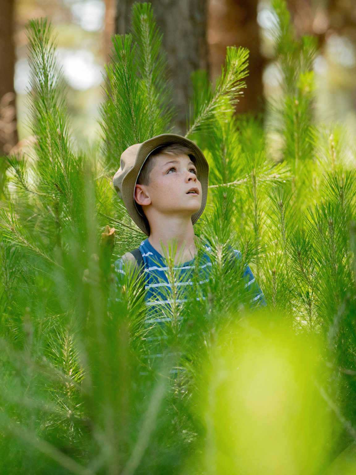 CHOC Inside - CHOC Inside