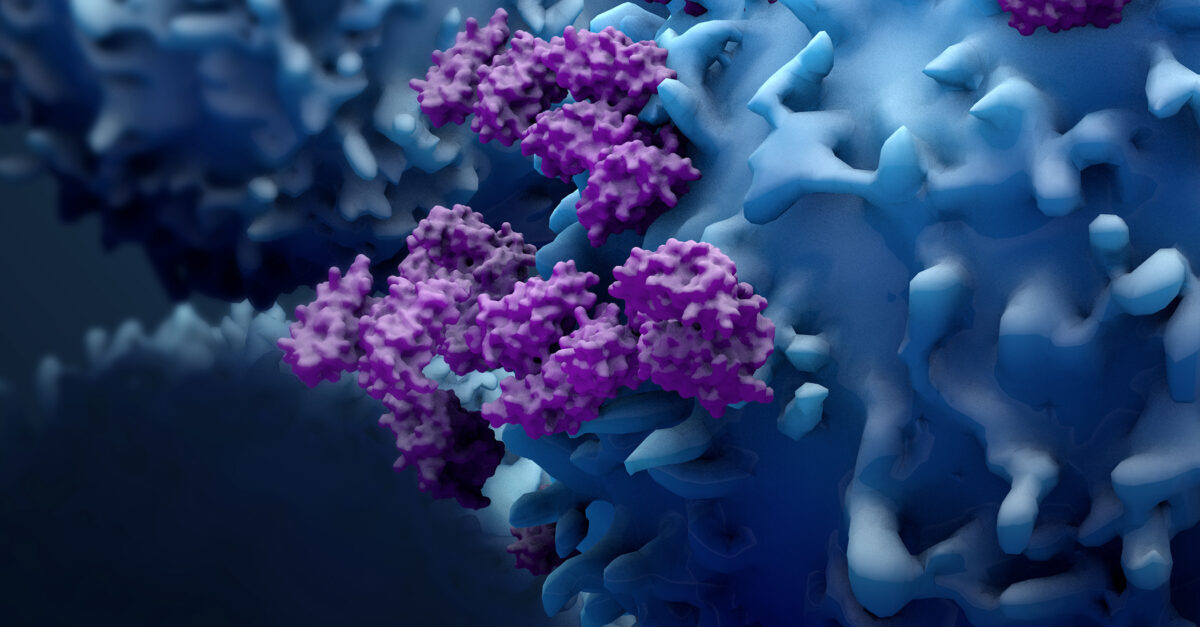 CHOC’s Blood and Marrow Transplant program receives grant