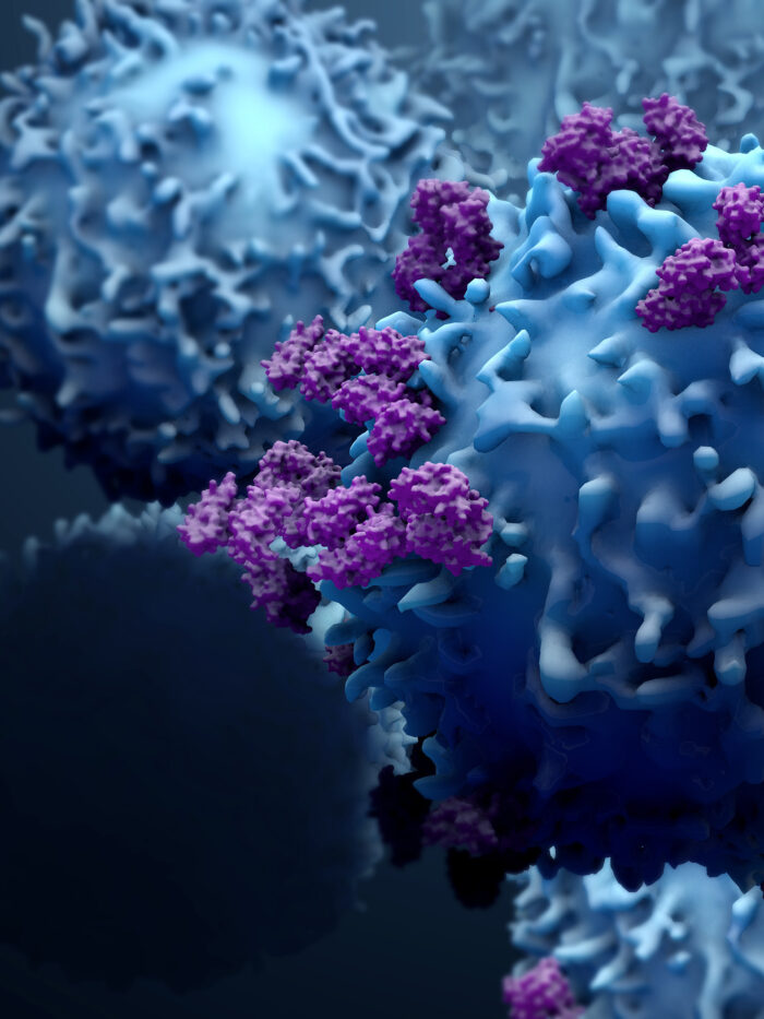 CHOC Inside - CHOC Inside